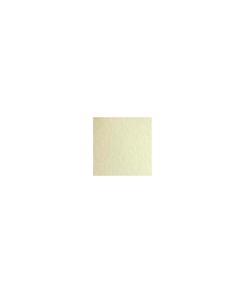 Carta CORDENONS Splendorgel / Icelaser avorio A3+